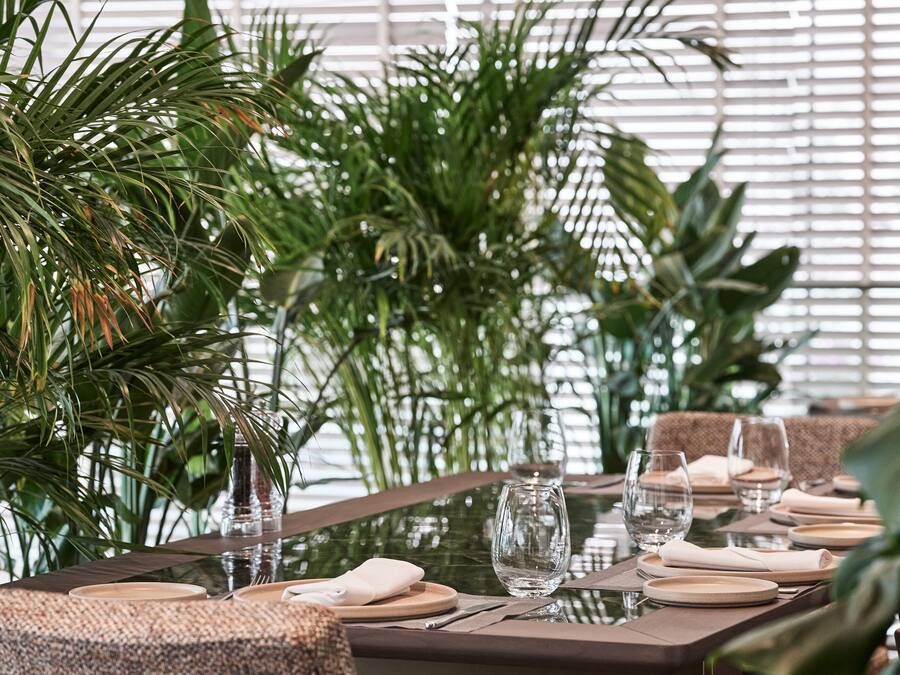 Mesa de jantar posta com pratos, copos e talheres, rodeada por plantas verdes exuberantes.