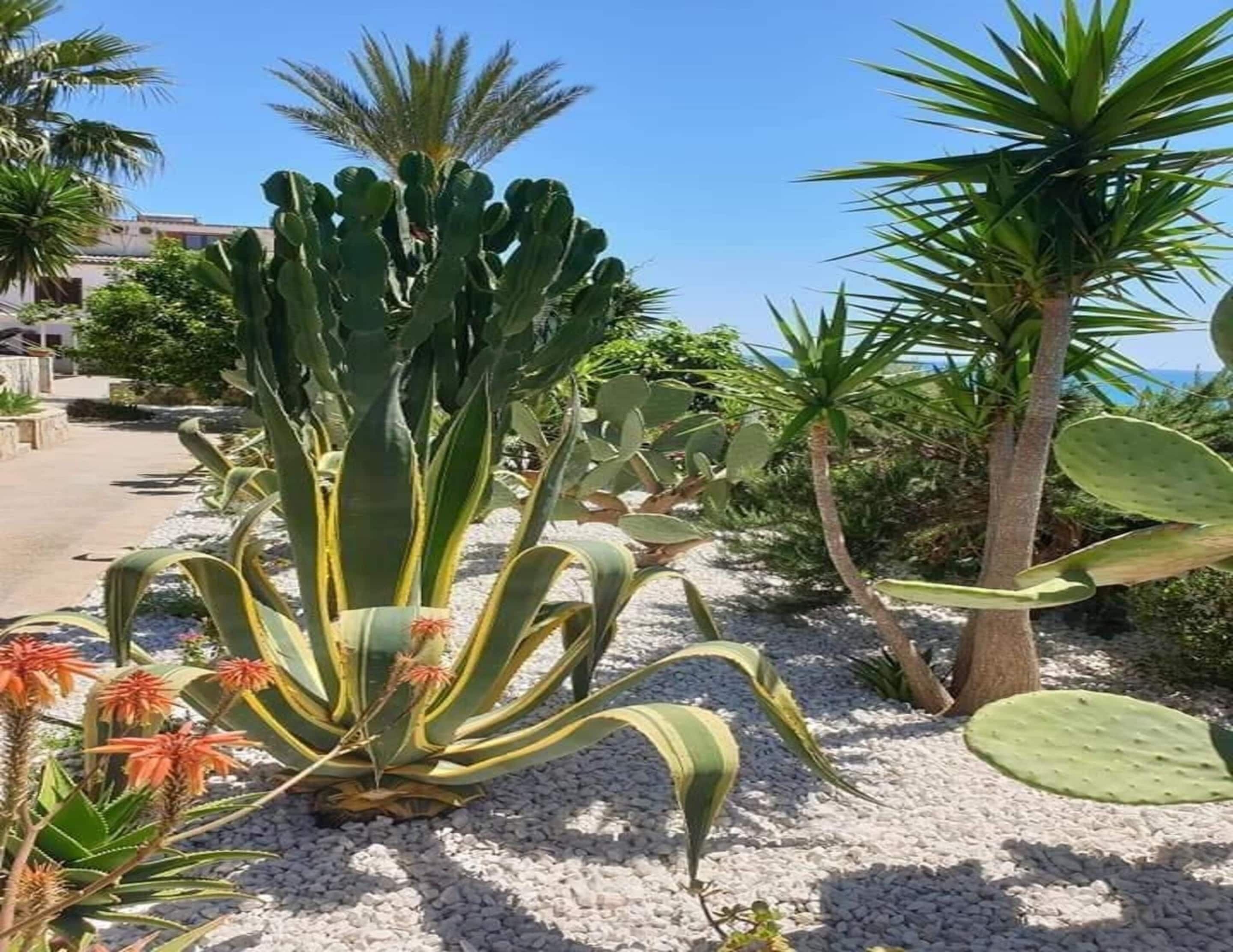 Apartamento | Vista da propriedade