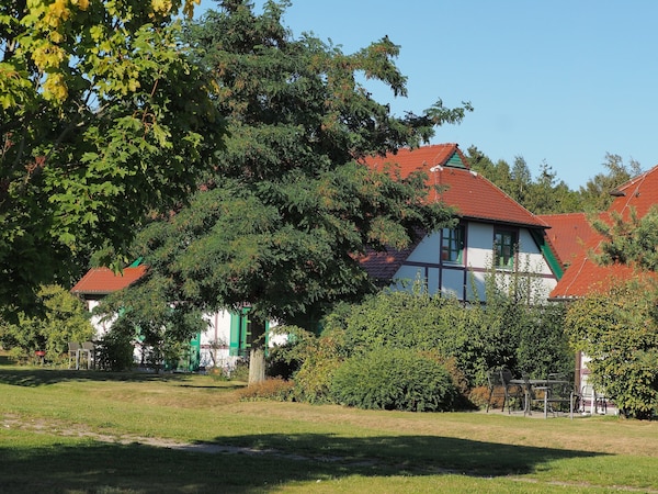Wohnung Im Feriendorf Rugana - Dranske