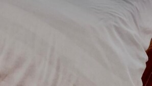 Cama bem arrumada com lençóis brancos e toalha em formato de cisne.