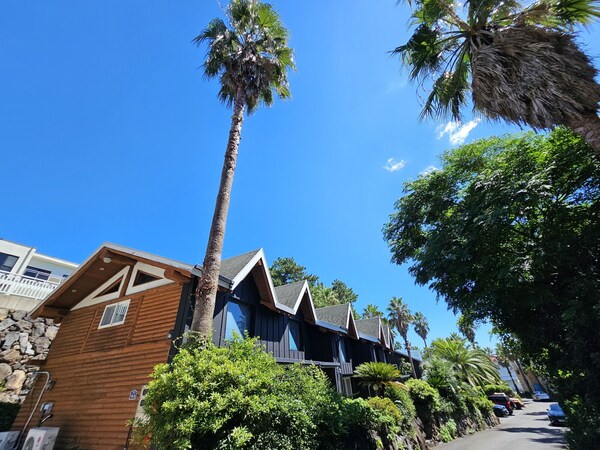 Tree Story Pension - Ciudad de Jeju