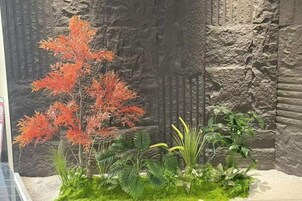 Terrenos do alojamento