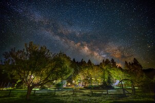 Céu noturno com estrelas e a Via Láctea sobre um parque com árvores e um edifício.