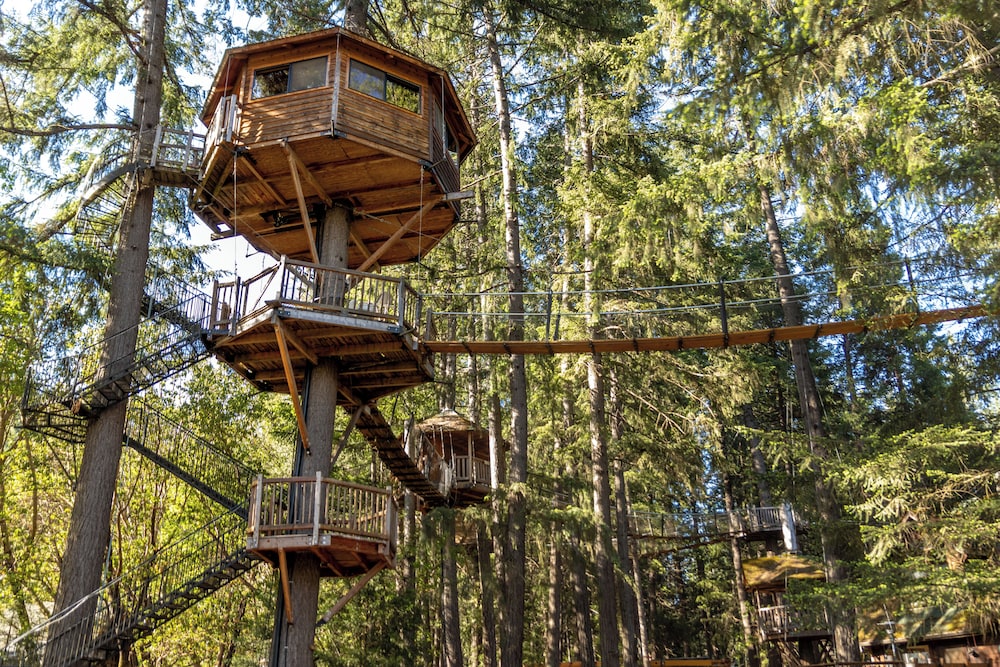 Out 'N' About Treehouse Treesort - Cave Junction, OR