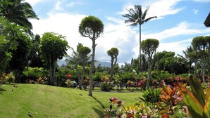 Um jardim exuberante com diversas plantas e árvores tropicais, um gramado bem cuidado e um céu claro.
