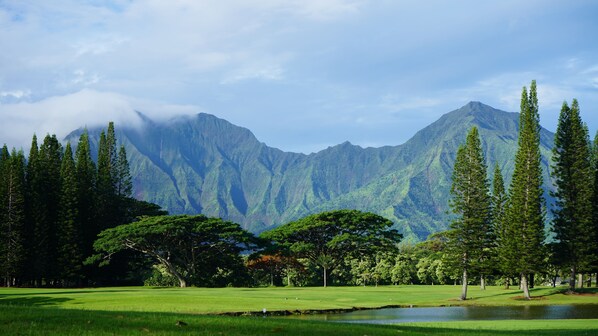 Golfe