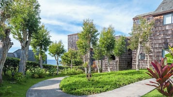 Terrenos do alojamento