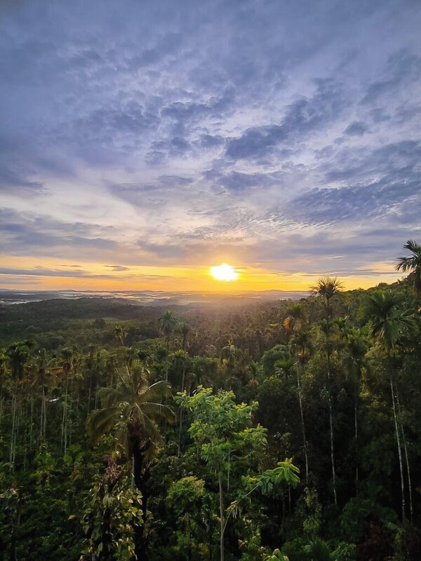 Kaffeevalley Home Stay - Kerala