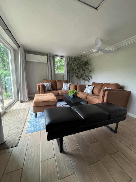 Asheville Home W/deck - 5 Min To Biltmore & 7 Min To Downtown -Pets Ok 4 Bd/2 Ba - Sierra Nevada