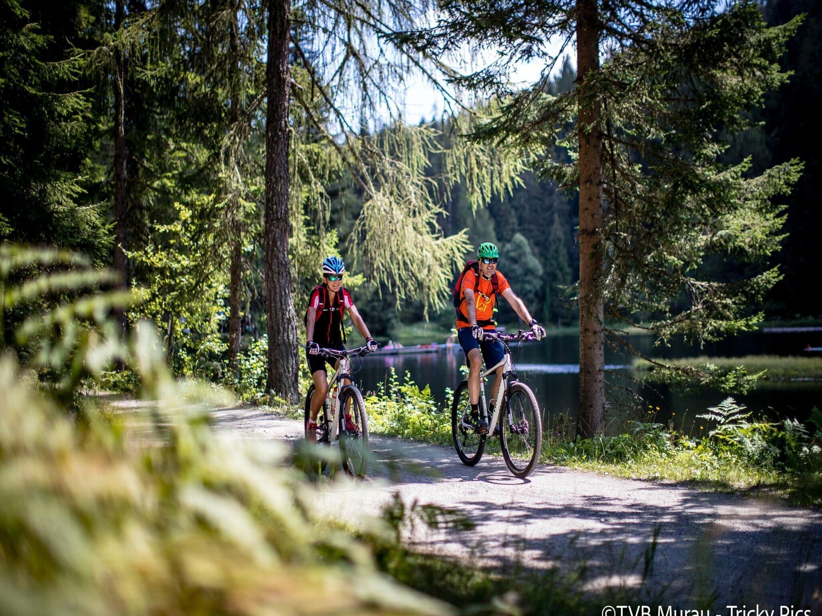 Dois ciclistas numa trilha florestal, com um lago ao fundo.