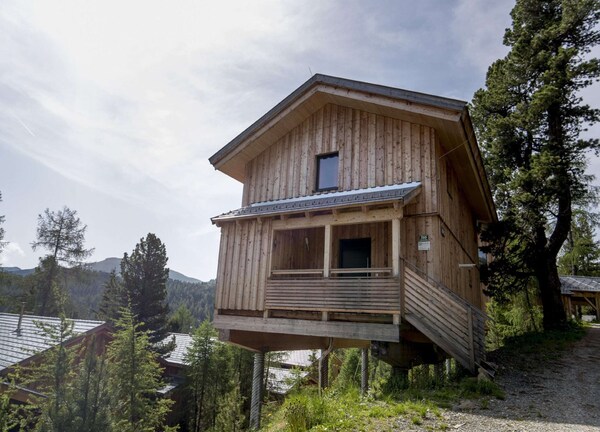 Chalet In Austria Near Ski Resort & Forest - Styria