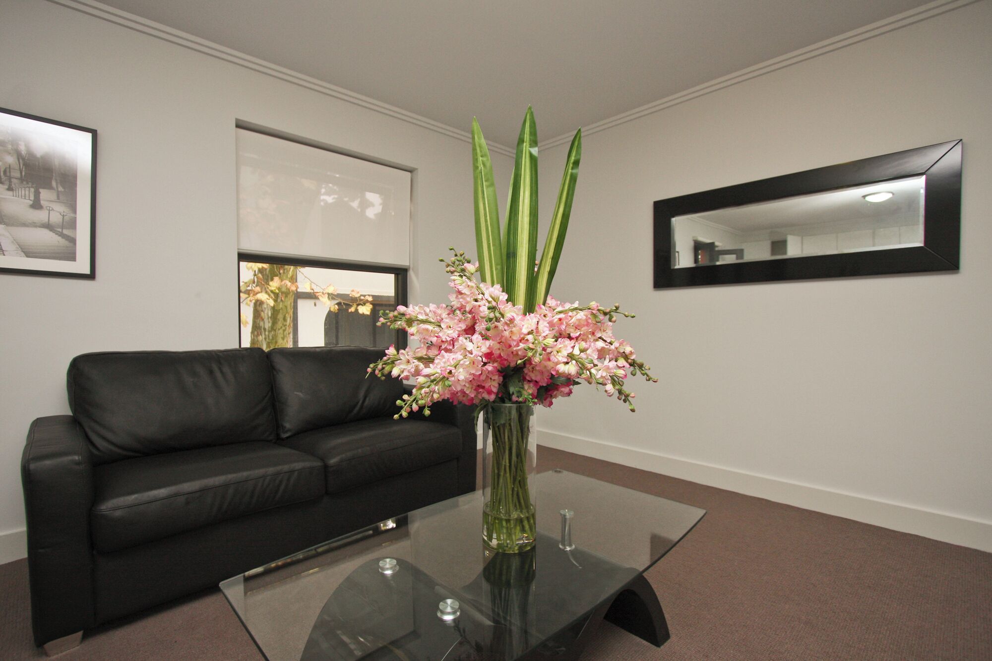 One Bedroom Apartment - Merewether