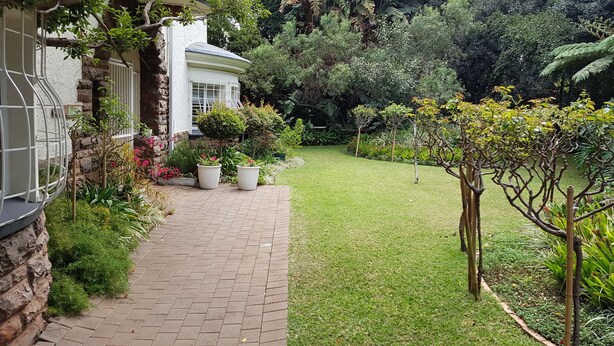 Um caminho de jardim leva a uma casa com muro de pedra, plantas em vasos e bastante vegetação.