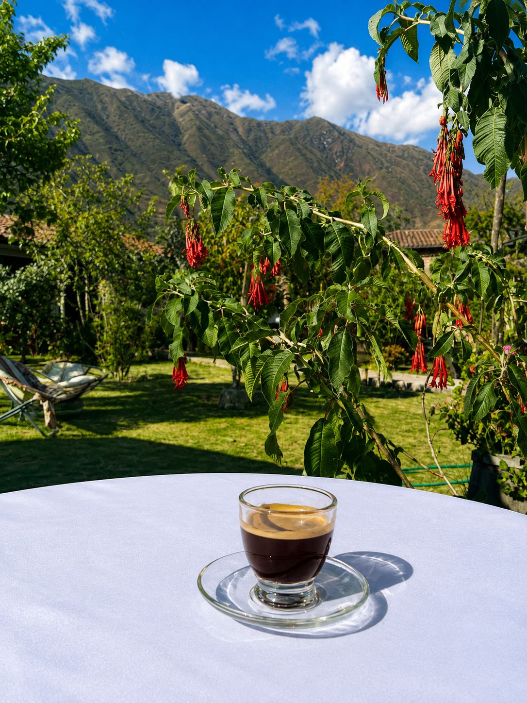 Uma mesa com um copo de líquido escuro, possivelmente café, em um recipiente de vidro com pires, ao fundo uma paisagem montanhosa com vegetação e flores vermelhas pendentes.