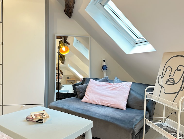 Lovely Rooftop Designed Apt 200m To Panthéon - Cathédrale Notre-Dame de Paris