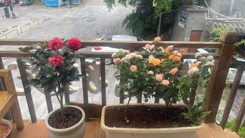 Varanda com plantas em vasos e vista para a rua.