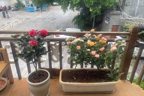 Varanda com plantas em vasos e vista para a rua.