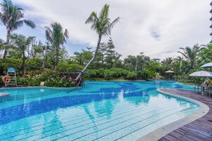 Piscina com deck de madeira, cercada por palmeiras e vegetação.