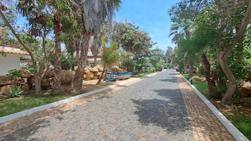 Apartamento | Terrenos do alojamento