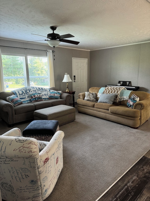 Cozy 3-bedroom Home In Nancy Just Minutes To Lees Ford Marina! - Kentucky