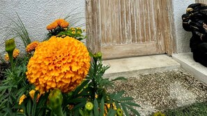 Uma porta de madeira com uma placa acima que diz 'Villa Sol'.