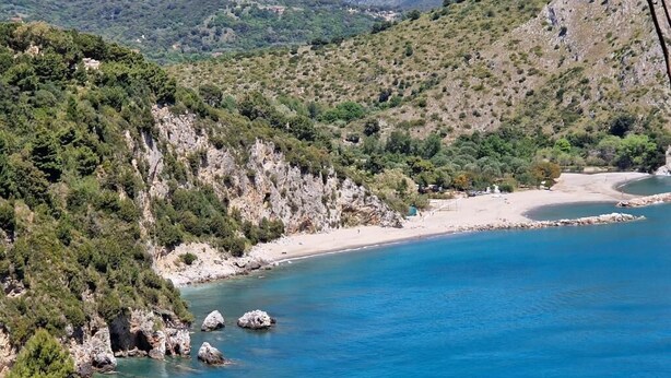 Paisagem costeira com uma praia, falésias rochosas e vegetação densa.