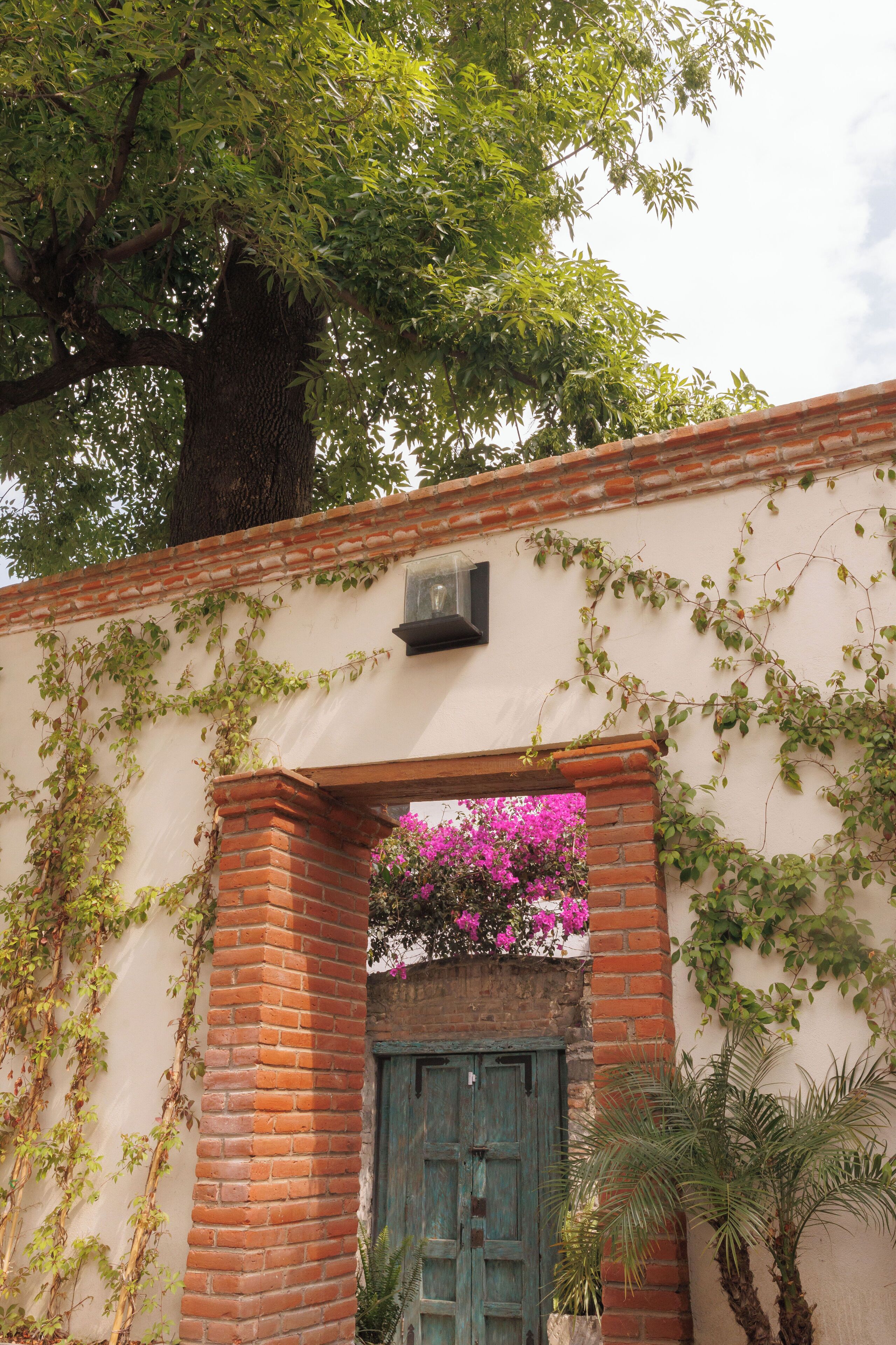 Um arco de tijolos com uma porta verde, uma parede branca com trepadeiras e uma árvore acima.