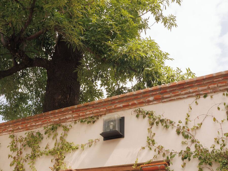Um arco de tijolos com uma porta verde, uma parede branca com trepadeiras e uma árvore acima.