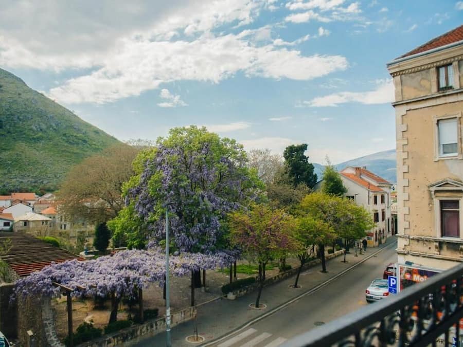Terrenos do alojamento