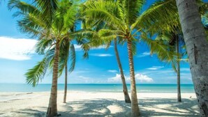 Uma praia com palmeiras e céu azul límpido.