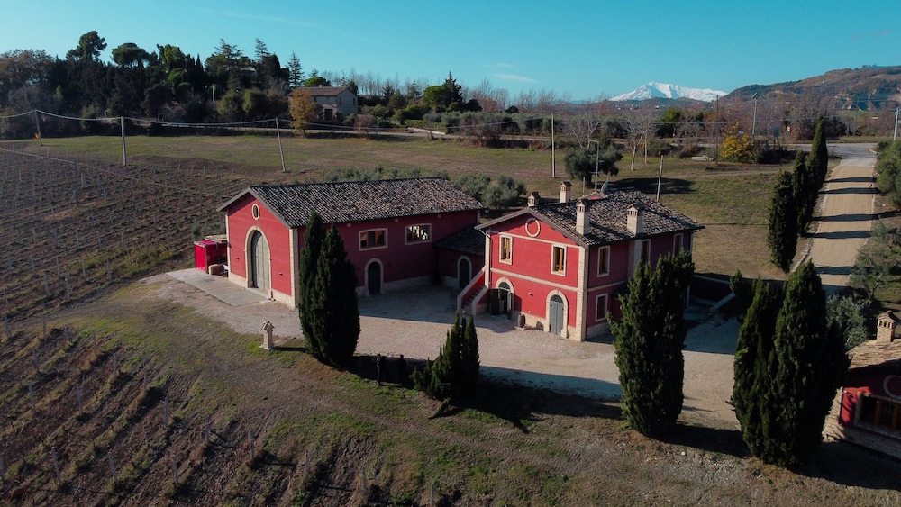 Cantina D'erasmo - Ascoli Piceno