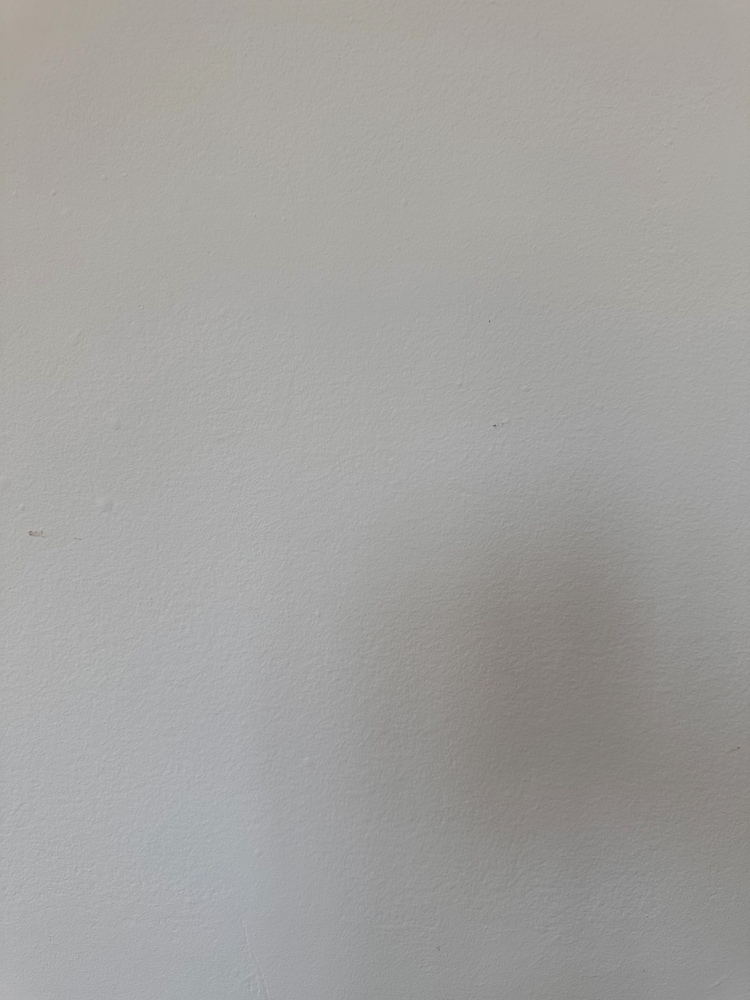 Machiavelli House - Monza