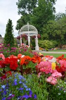 Jardim
