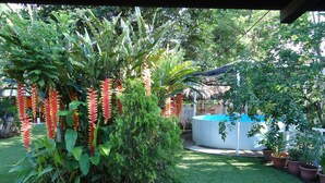 Um jardim com diversas plantas, uma piscina branca e uma construção de palha.