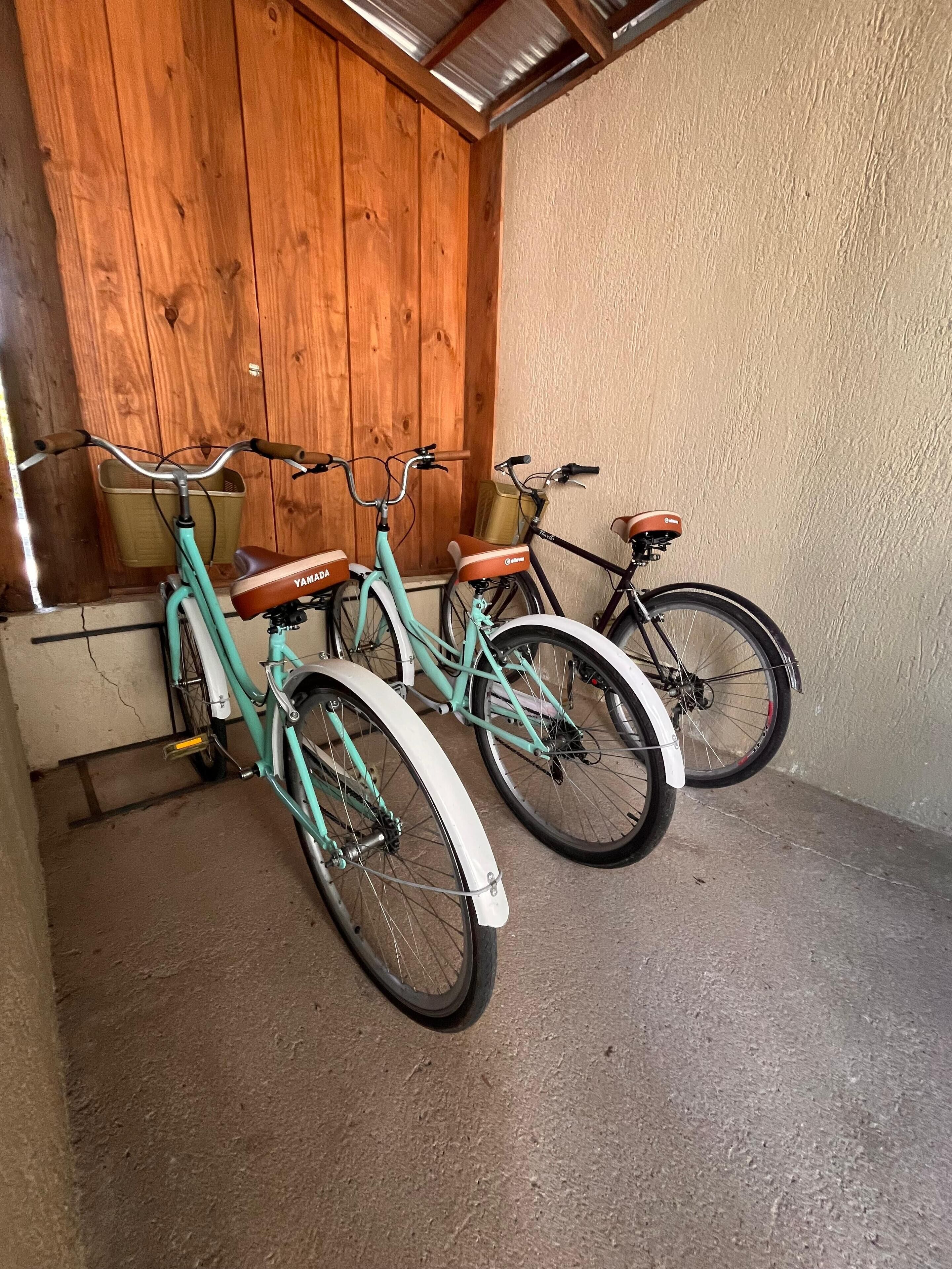Duas bicicletas estacionadas em ambiente interno, uma com estrutura azul-turquesa e outra com estrutura marrom, encostadas a uma parede de madeira.