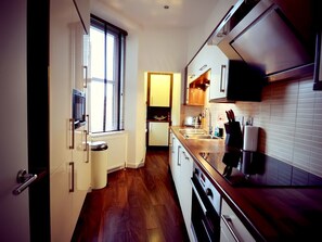 Apartamento de Luxo, 1 quarto, Vista para a cidade | Cozinha privada | Um frigorífico/congelador grande, um micro-ondas, uma placa de cozinha 