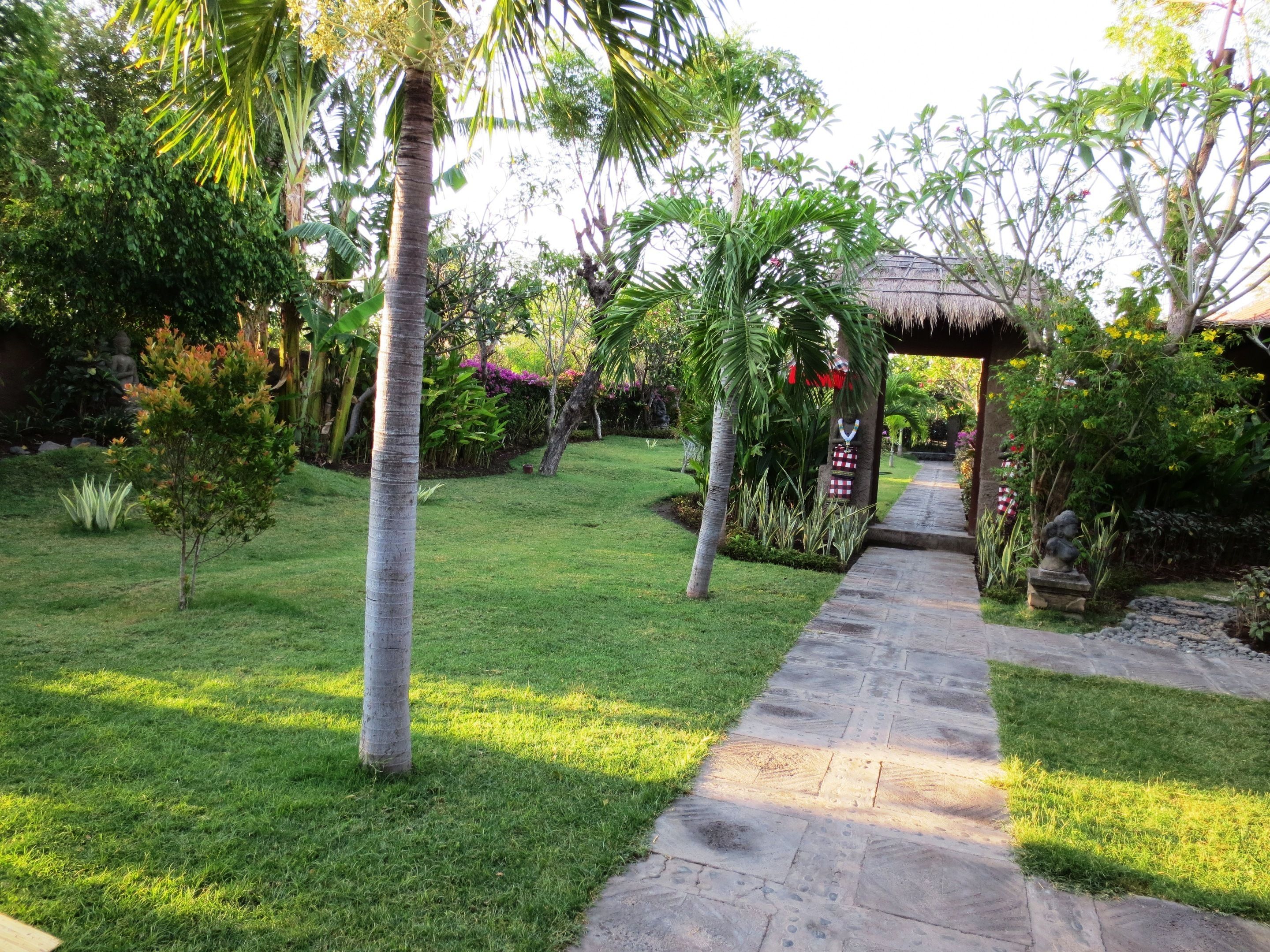 Um caminho no jardim leva a uma construção com telhado de palha.