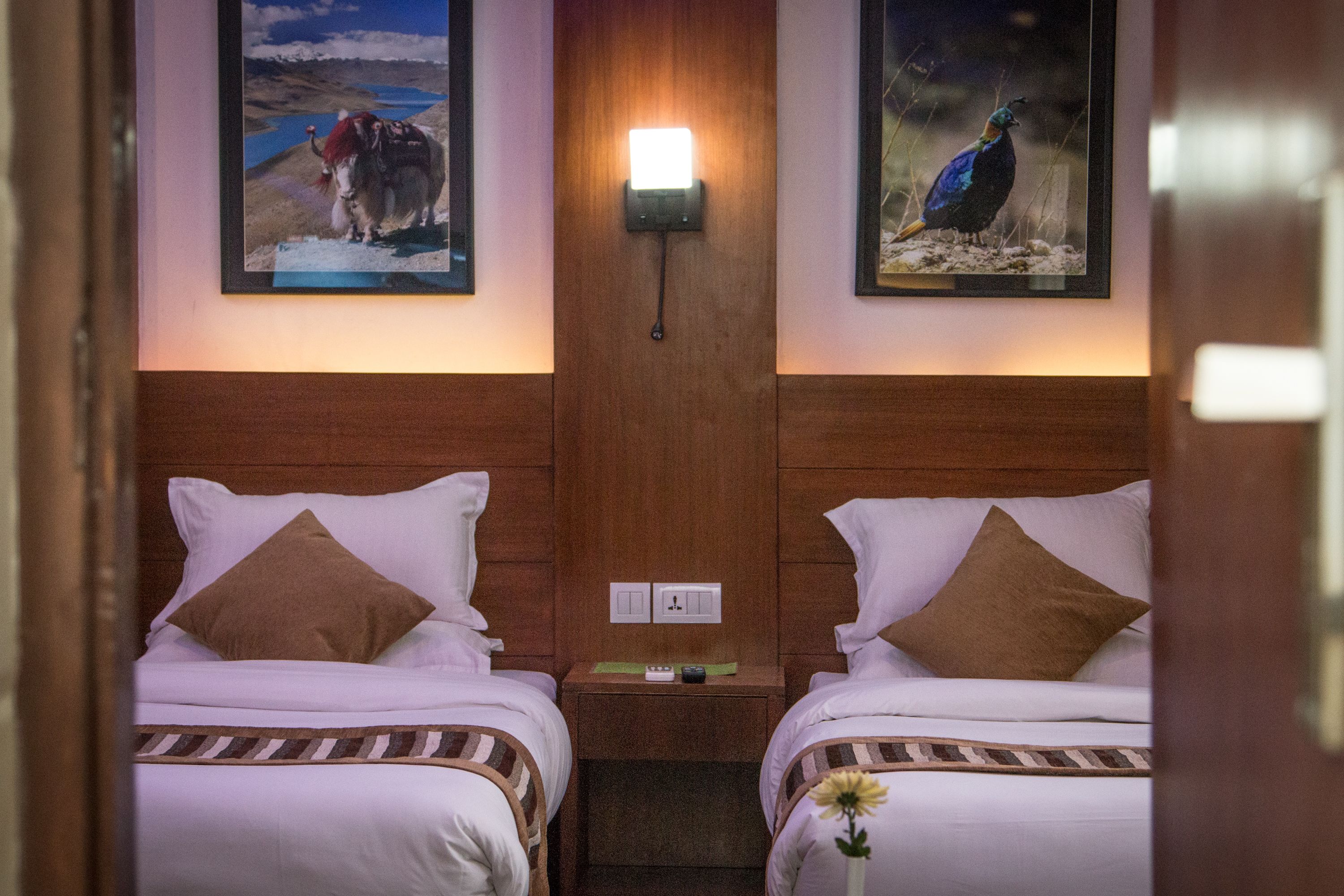 Quarto de hotel com duas camas, uma mesa de cabeceira com abajur e duas fotos emolduradas na parede.