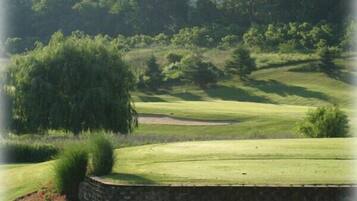 Um campo de golfe com um muro de pedra e vegetação exuberante.
