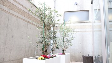 Terrenos do alojamento