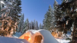 Uma iglú coberta de neve com uma porta de madeira, rodeada por árvores carregadas de neve sob um céu noturno limpo.