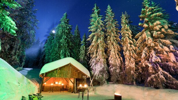 Uma cabana coberta de neve com fachada de madeira e telhado verde, rodeada por árvores carregadas de neve sob um céu estrelado.