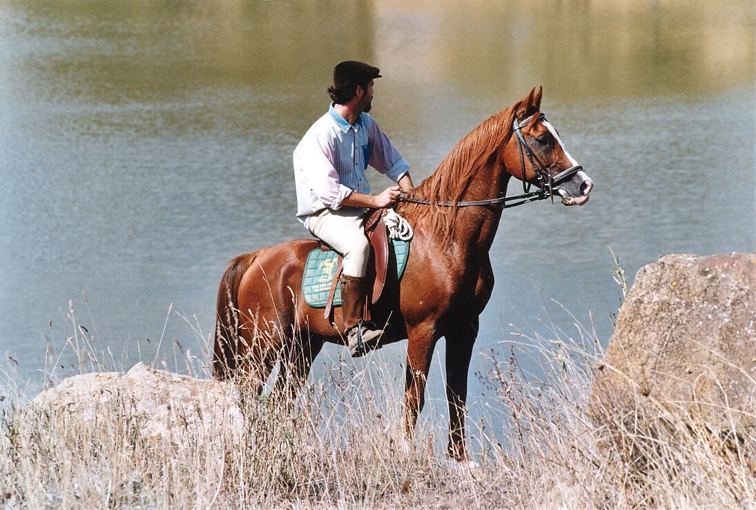 Alguém cavalgando à beira da água.
