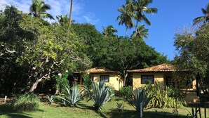 Um jardim tropical com palmeiras e plantas de agave, dois edifícios amarelos com telhados de cerâmica e um céu azul claro.