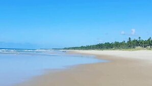 Uma praia com céu claro, areal arenoso e uma linha de palmeiras ao longe.