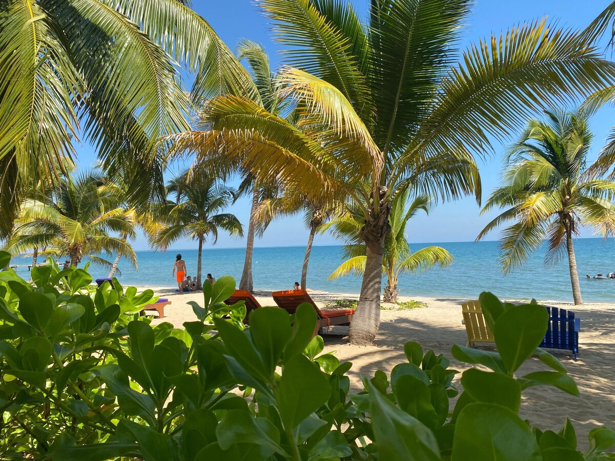 Coconut Row Guesthouse - Reviews, Deals & Photos 2025 - Expedia