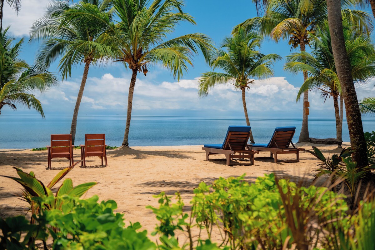 Coconut Row Boutique Hotel Reviews, Deals & Photos 2025 - Expedia.com