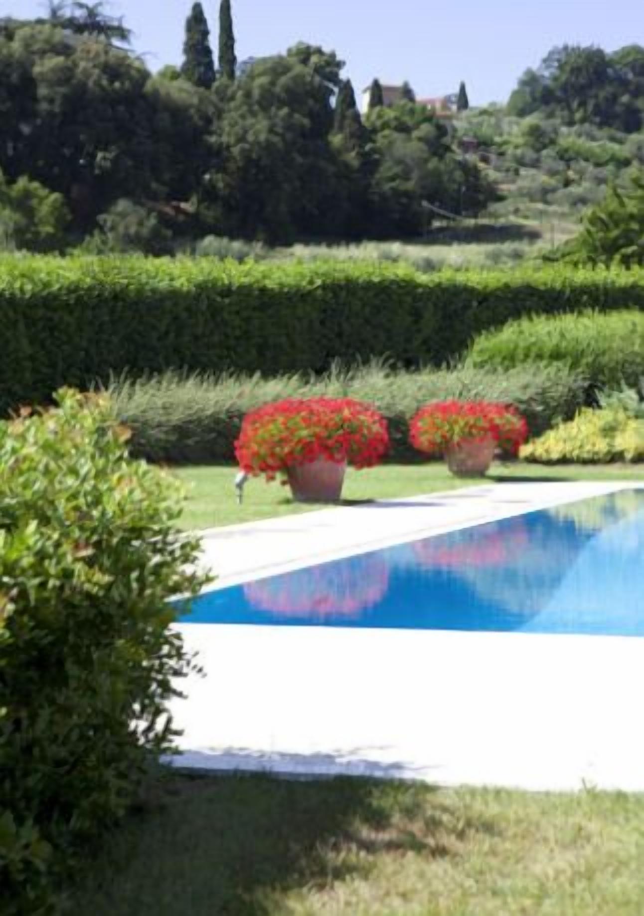 Piscina cercada por sebes bem aparadas e vasos com flores vermelhas.