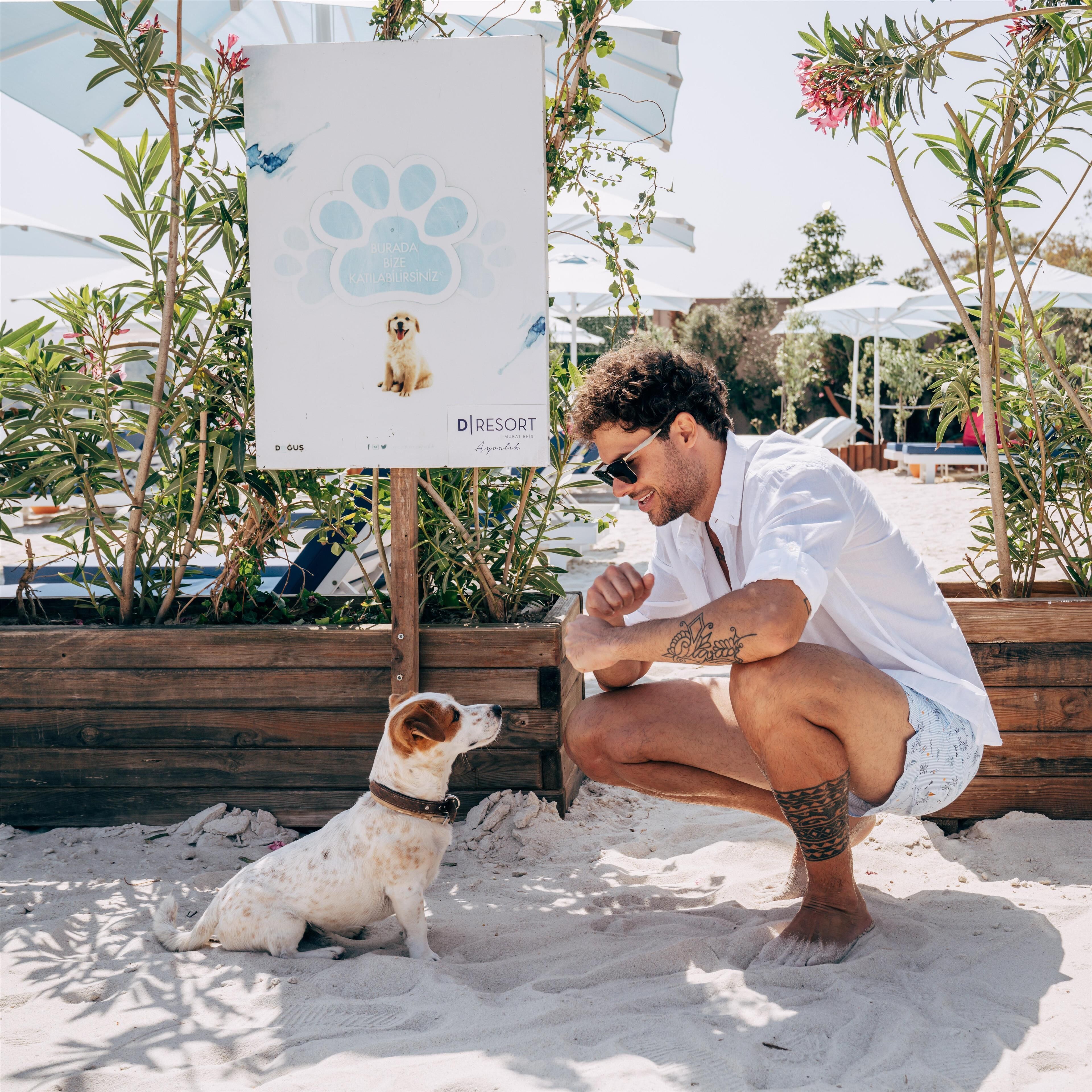 Aceita animais de estimação