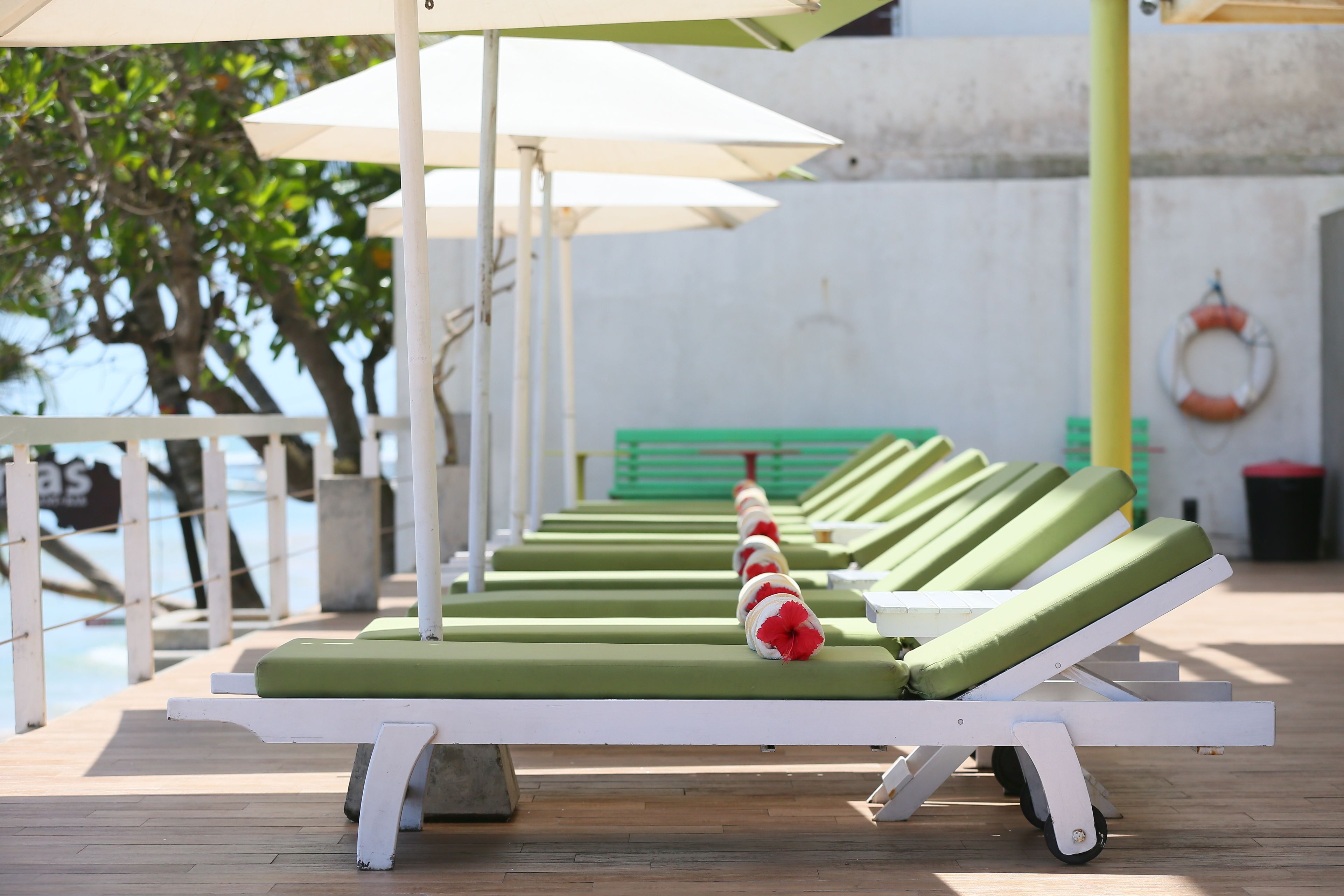 Piscina exterior, guarda-sóis, espreguiçadeiras 